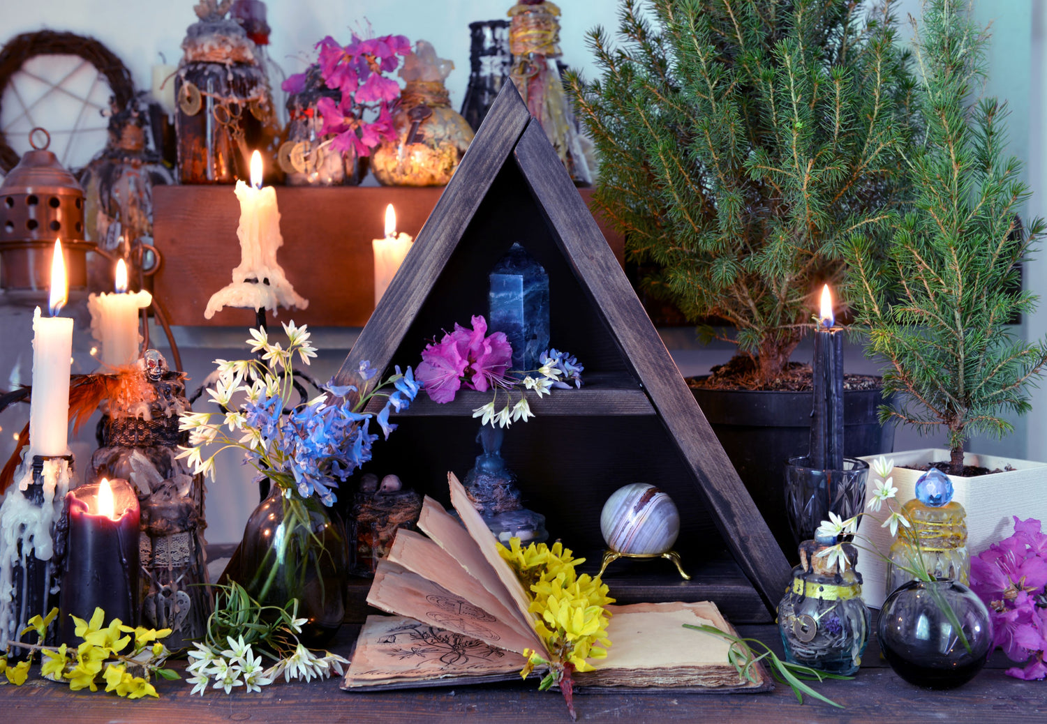 The Sister Witch Company